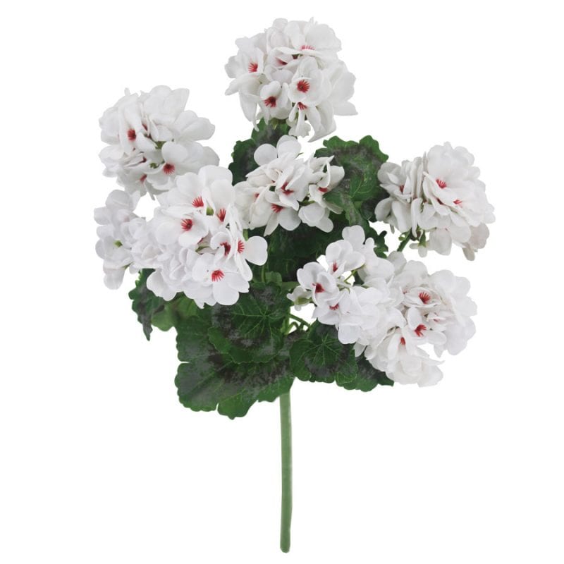 Gerânio Branco 8FL (45cm) - Nature Flores