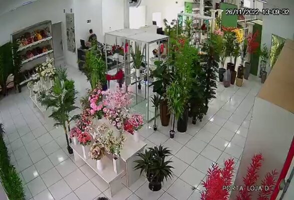 Nature Flores | Loja Nature Flores em São Paulo